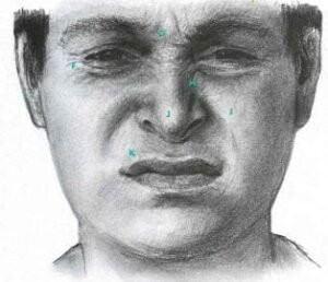 Depressor Septi Nasi Muscle- Origin, Insertion, Action, Exercise