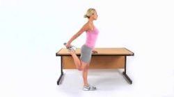 Rectus femoris Muscle Anatomy - Origin, Insertion and Exercises